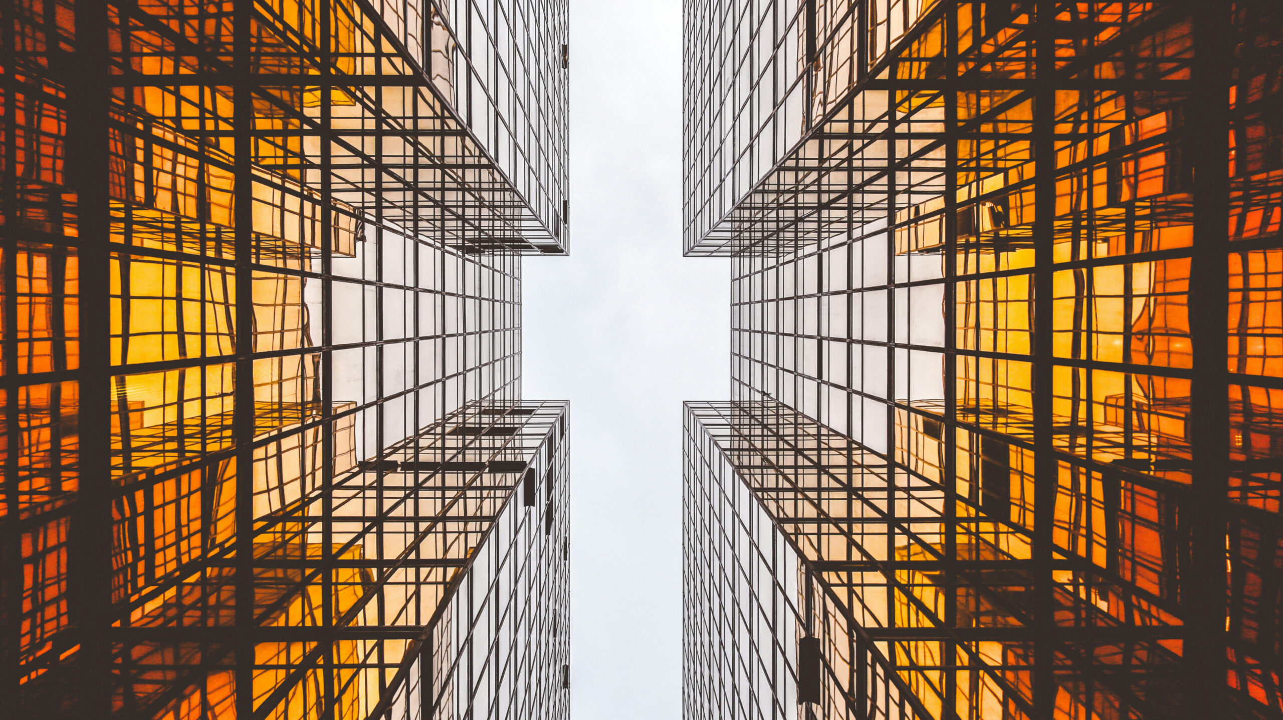 Cash May Be King, but Capital Is the Blueprint for Real Growth